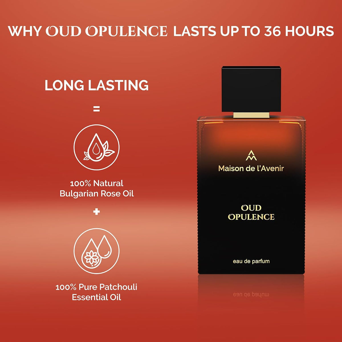 Oud Opulence Eau De Parfum By Maison De L'Avenir 100 ML 3.4 FL OZ – Triple Traders